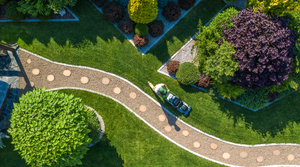Landscape Layout Design: DIY Guide | Plants Express