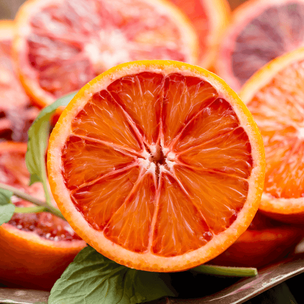 Blood Orange Tree | Plants Express