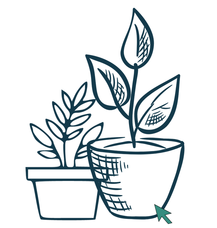 Plants Express - California's Premier Online Nursery