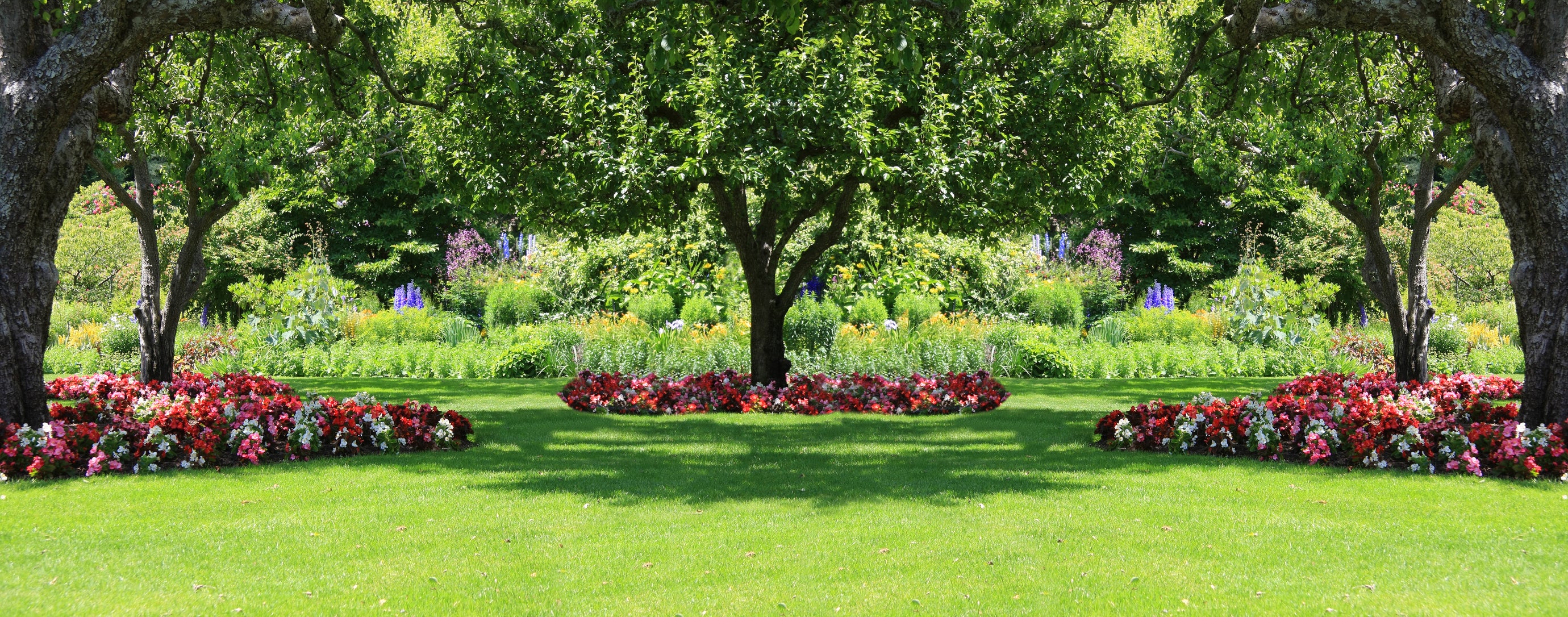 Our Plant Community | Plants Express