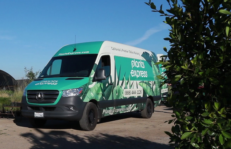 Plants Express - California's Premier Online Nursery
