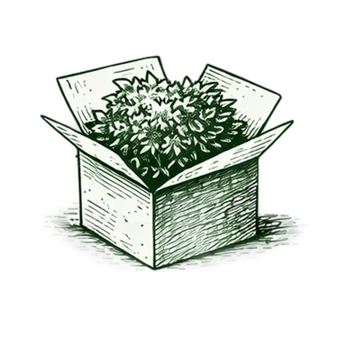 Plants Express - California's Premier Online Nursery
