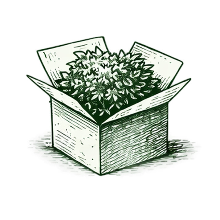 Plants Express - California's Premier Online Nursery