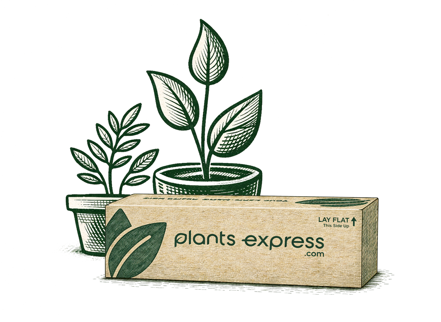 Plants Express - California's Premier Online Nursery