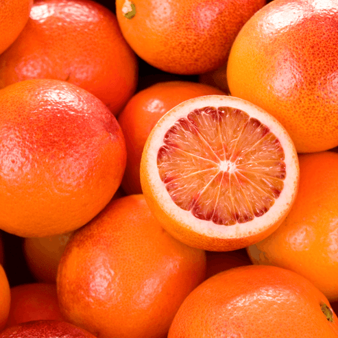 Blood Orange Tree | Plants Express