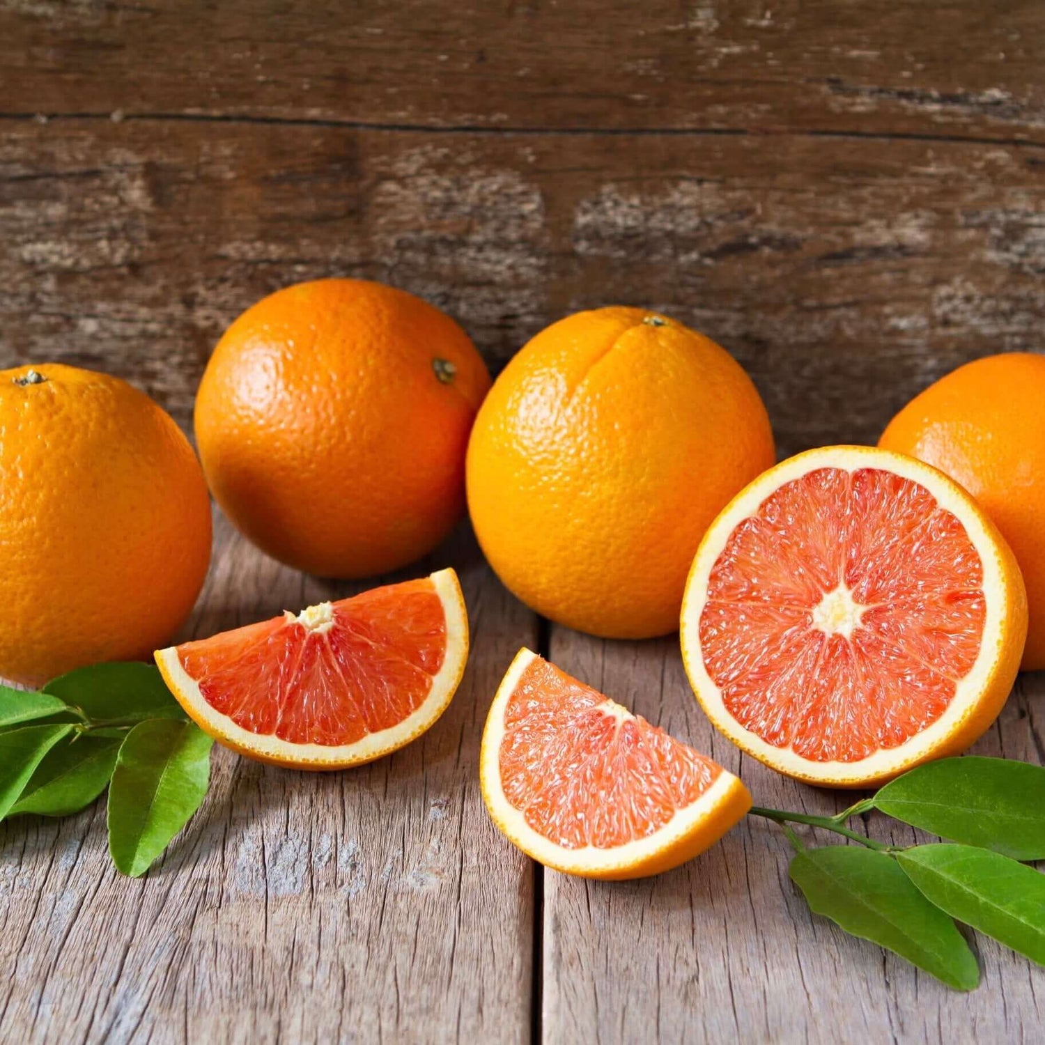 Cara Cara Orange Tree (Citrus sinesis 'Cara Cara') – Plants Express